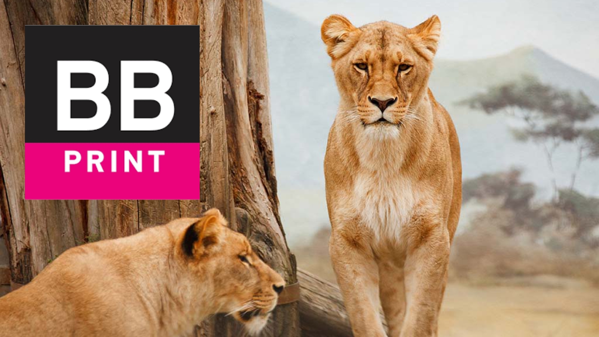 OSTALE USLUGE - BB PRINT | BANJA LUKA